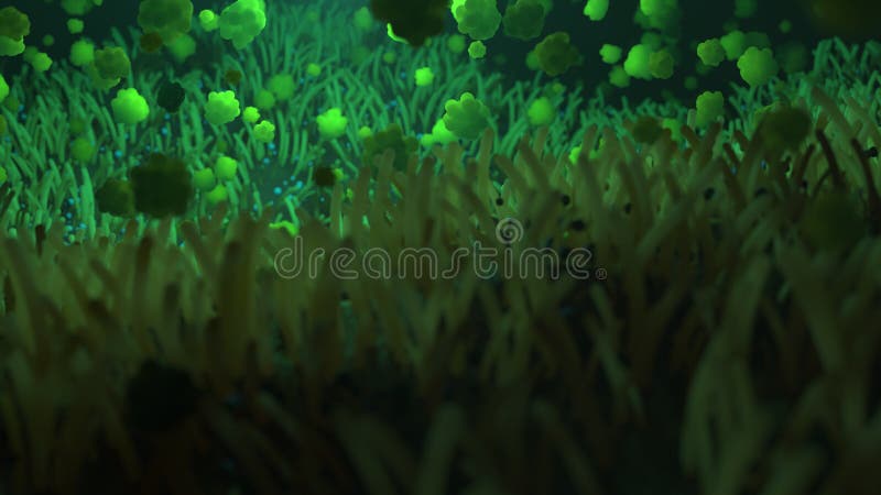 An Image on the Topic of Microbiology Stock Photo - Image of biology ...