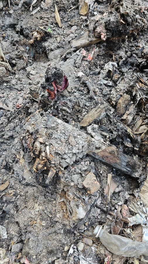 Dumpster Fire Zen Garden Stock Photos - Free & Royalty-Free Stock ...