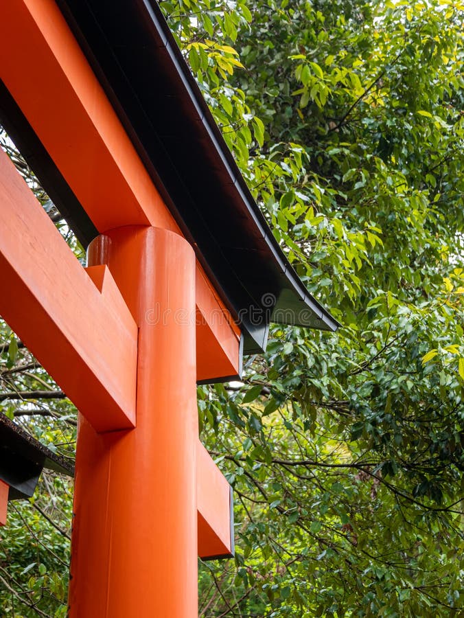 Torii Gate Close Up with Trees at the Background Stock Photo - Image of ...