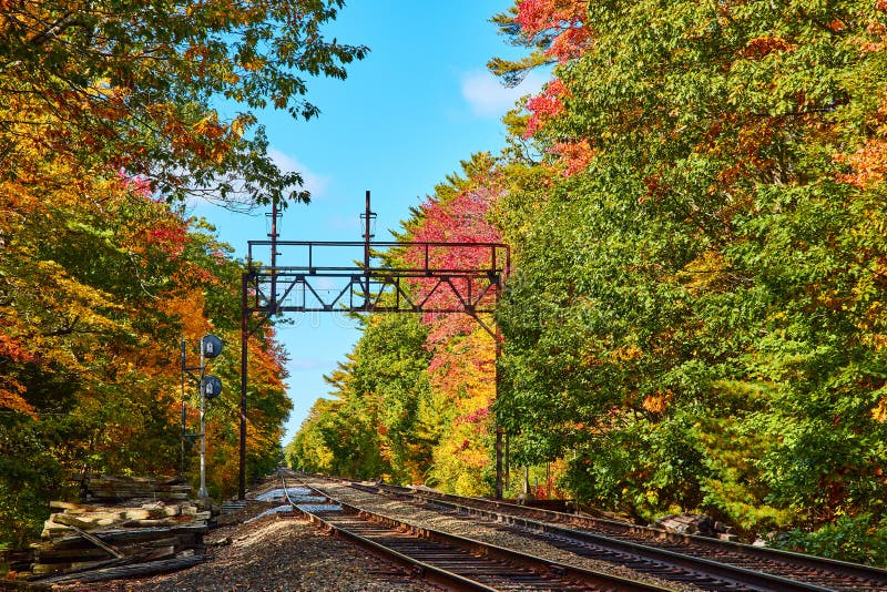 Train Tracks Empty through Fall Forest in Maine Stock Image - Image of ...