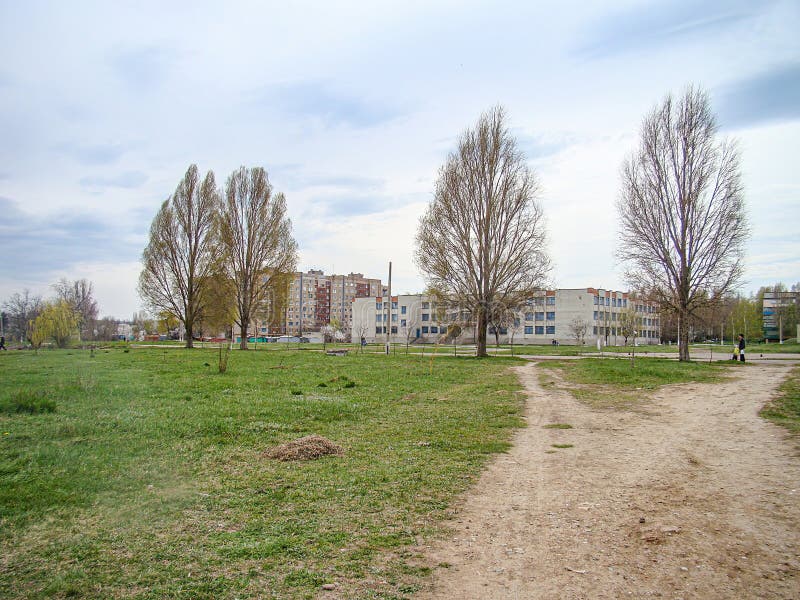 Image of a Tranquil Outdoor Scene Featuring Two Paths Merging, Creating ...