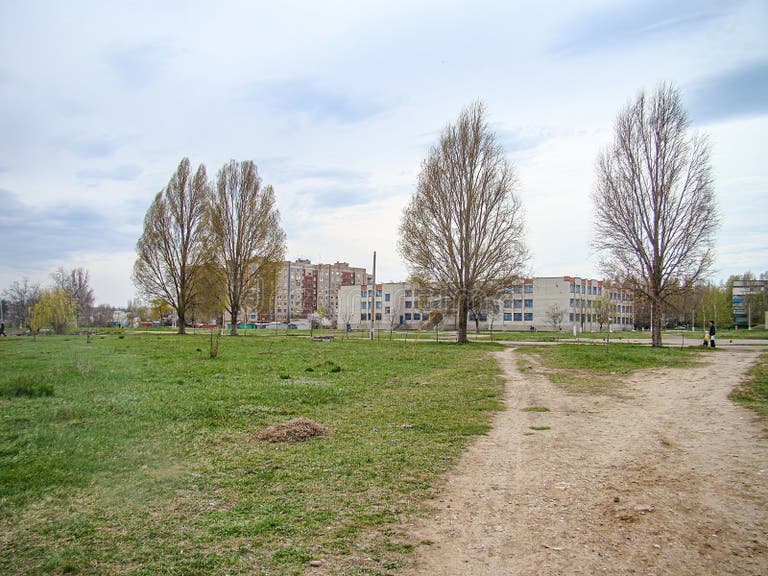 Image of a Tranquil Outdoor Scene Featuring Two Paths Merging, Creating ...