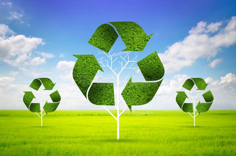 Tree as a recycle symbol stock image. Image of symbol - 30097517