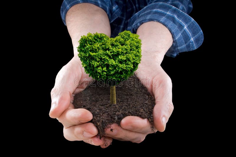 Image of a Tree in the Form of a Heart in the Hands of Man Stock Photo ...