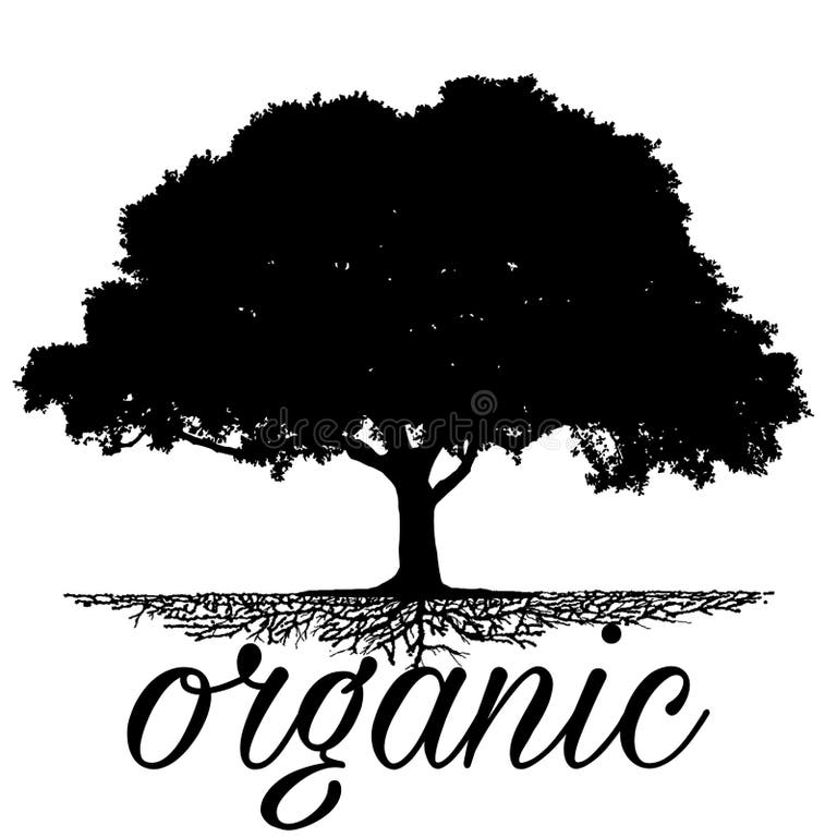 Image of a Tree Labeled Organic Stock Illustration - Illustration of ...