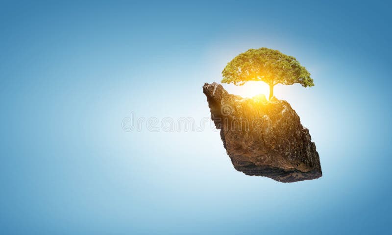 Image of tree on the wave stock photo. Image of garden - 183052116