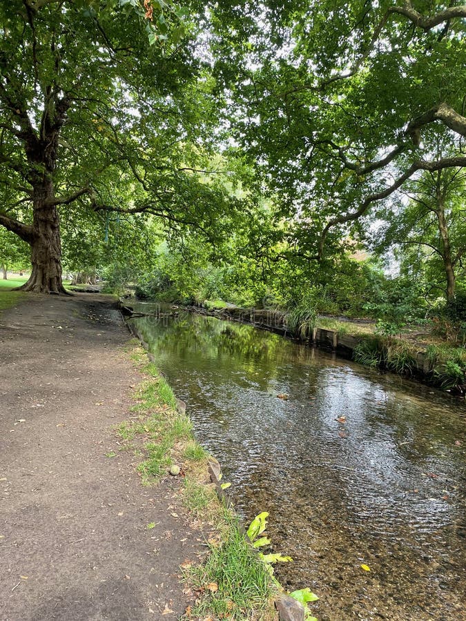 Landscape of Trees and a River Stock Photo - Image of silhouette ...