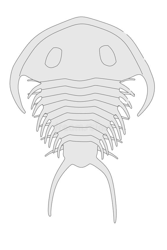 Cartoon Trilobite Stock Illustrations 53 Cartoon Trilobite Stock Illustrations Vectors