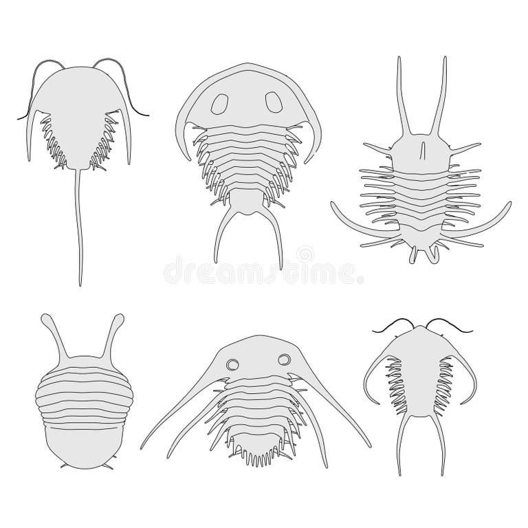 Cartoon Trilobite Stock Illustrations – 66 Cartoon Trilobite Stock ...