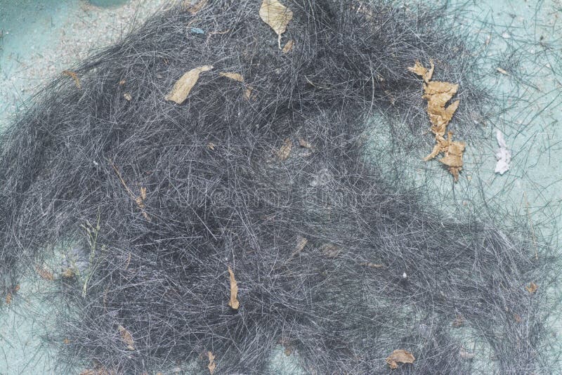 Tuft of Cut Hair in the Dustbin Stock Image - Image of container, bunch ...