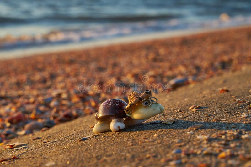 Turtle Made from Shells. Handmade Stock Photo - Image of beach ...