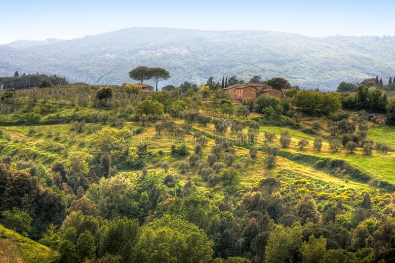 Typical tuscan landscape stock image. Image of nature - 5998457