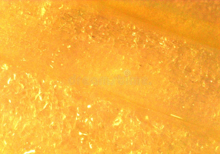 Image Under the Microscope Apple, Fruit, Food, Micro Photography ...