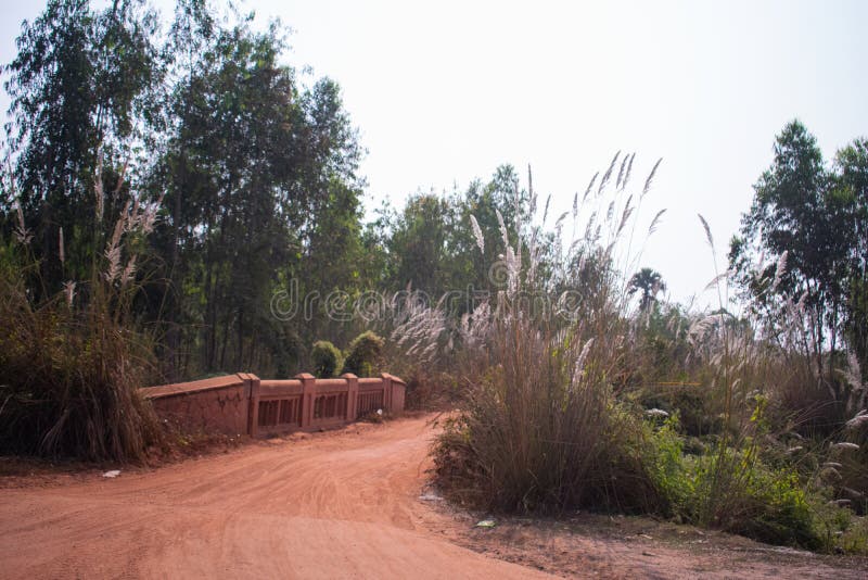 Image of a Underdeveloped Road in a Village Stock Image - Image of ...