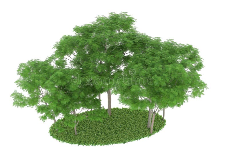 Realistic Trees on Transparent Background. 3d Rendering - Illustration ...
