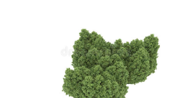 Trees Plan View Realistic Stock Illustrations – 12 Trees Plan View ... Trees Plan View Realistic Stock Illustrations – 12 Trees Plan View ...
