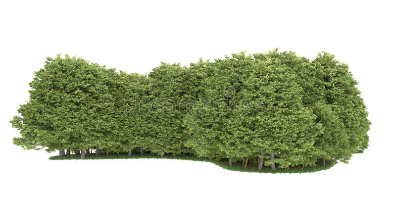 Trees Plan View Realistic Stock Illustrations – 12 Trees Plan View ... Trees Plan View Realistic Stock Illustrations – 12 Trees Plan View ...