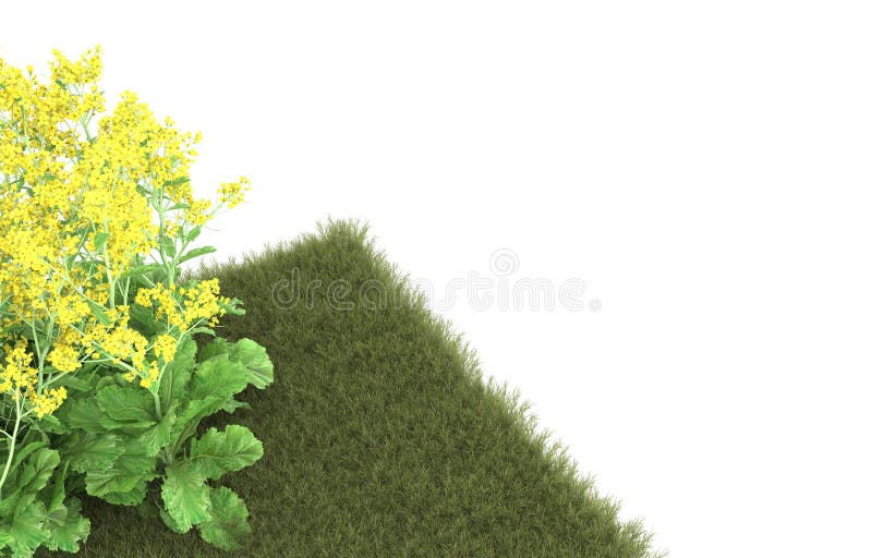 Realistic Plants Isolated on Background. 3d Rendering - Illustration ...