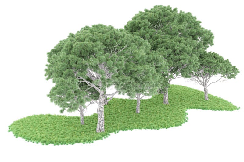 Forrest Arrangement Isolated on Transparent Background. 3d Rendering ...