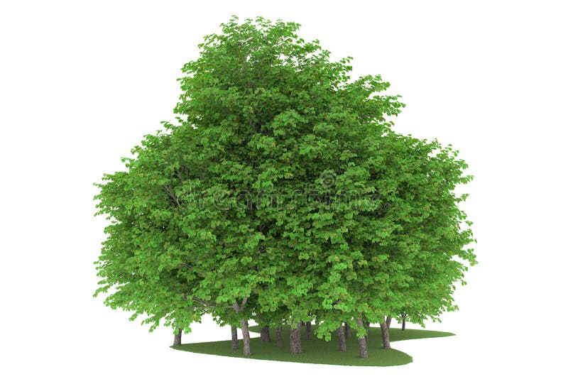 Realistic Green Torest on Transparent Background. 3d Rendering ...
