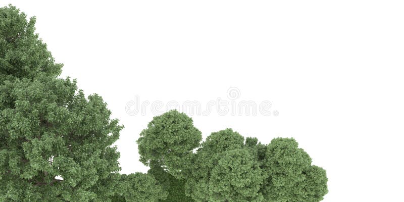 Treeline Transparent Background Stock Illustrations – 75 Treeline ...