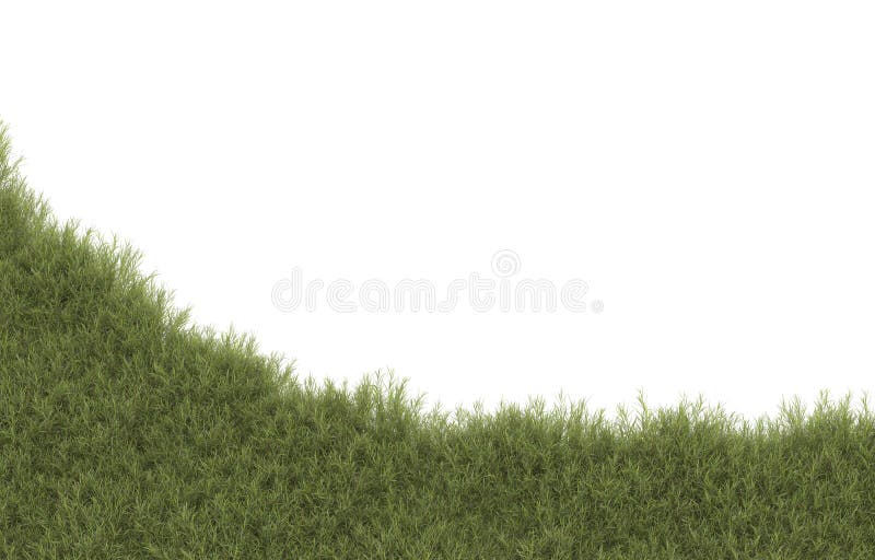 Tropical Tress Isolated on Background. 3d Rendering - Illustration ...