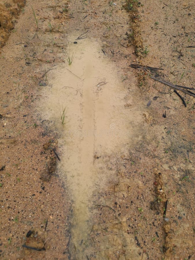 Vacant Agriculture Land Fulls of Puddle after the Heavy Rain Stock ...