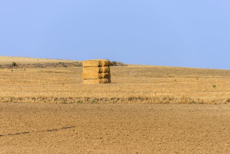 View of a Haystack in a Field Stock Photo - Image of fertility, farming ...