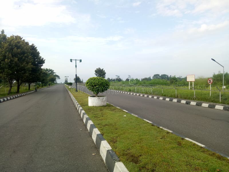 Image of Views of Trees Alongside the Road Stock Photo - Image of blue ...