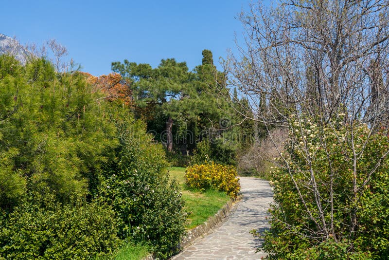 Image of a Walkway in the Spring Park. Stock Image - Image of light ...