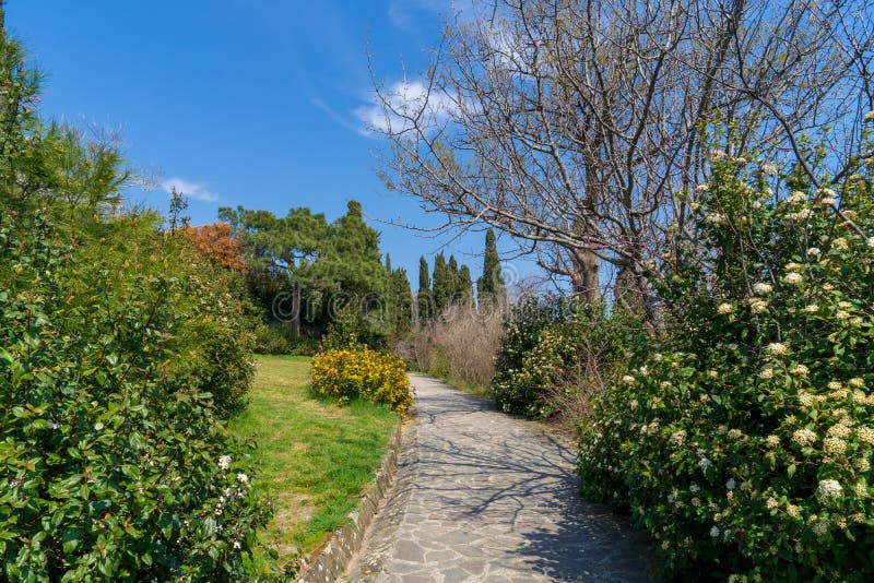 Walkway through Spring Scenery Stock Photo - Image of artistic, green ...