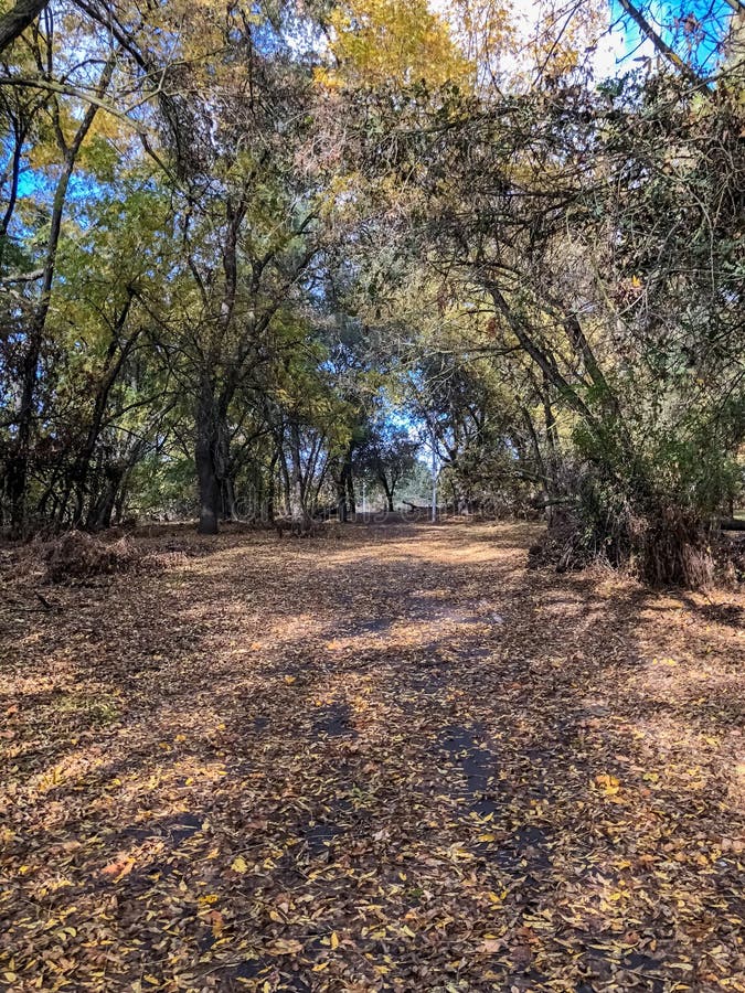 Trail Ripon Army Corps River Crossing Stock Photo - Image of expressing ...