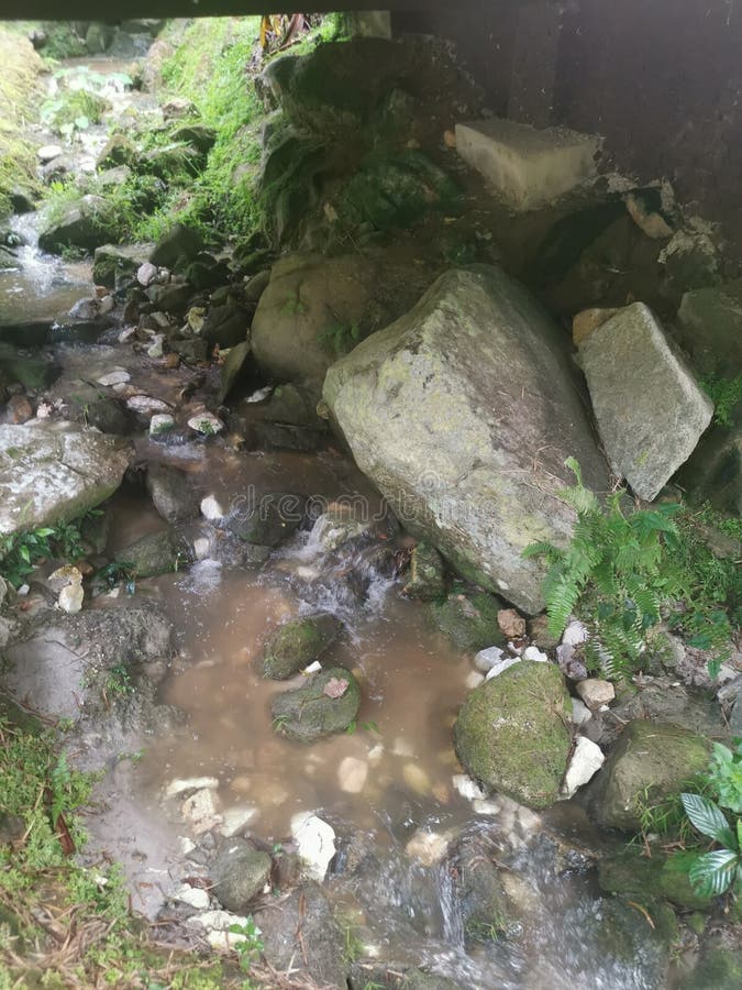 Water Flowing Down the Rocky River Stream Stock Photo - Image of ...