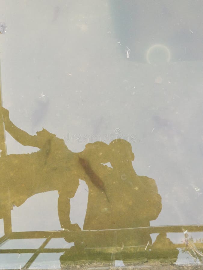 Image of Water with the Shadow of Two Friends Stock Photo - Image of ...