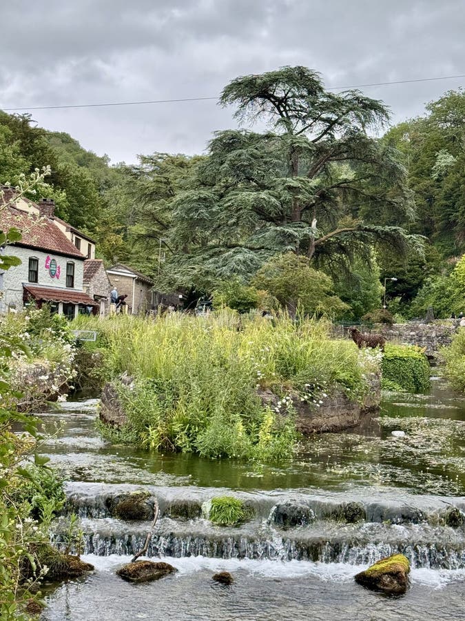 The Waterfall at Cheddar Gorge Editorial Stock Image - Image of garden ...