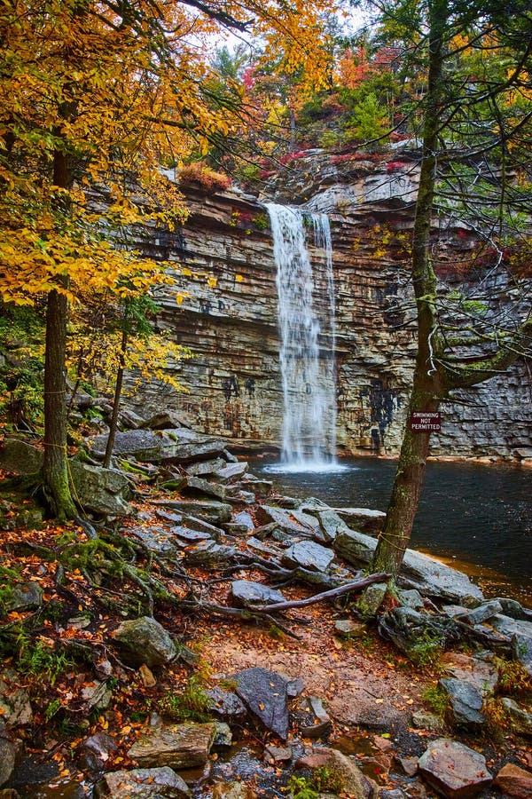 Waterfall Over Cliff Edge into River with Rocks and Fall Trees on Coast ...