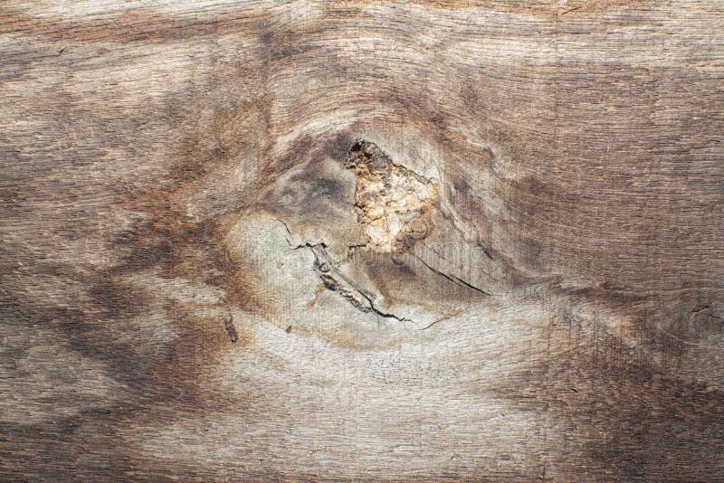 Weathered and Decayed Wall Plank Wood Texture Stock Photo - Image of ...