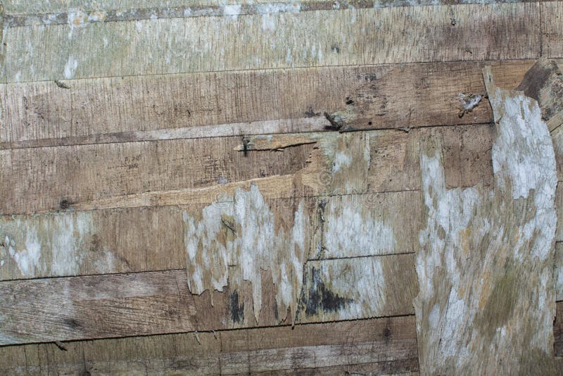Weathered and Decayed Wall Plank Wood Texture Stock Image - Image of ...