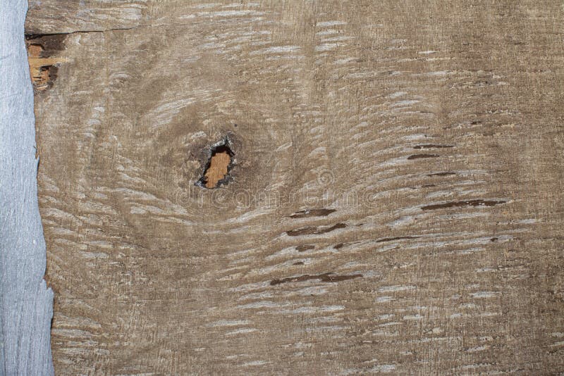 Weathered and Decayed Wall Plank Wood Texture Stock Image - Image of ...