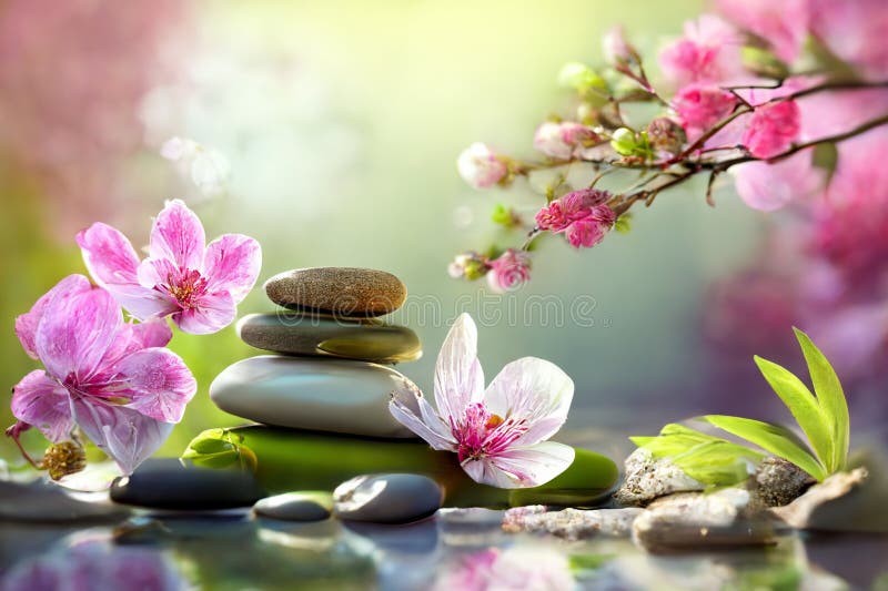 An Image of Wellness with a Spring Theme Stock Illustration ...