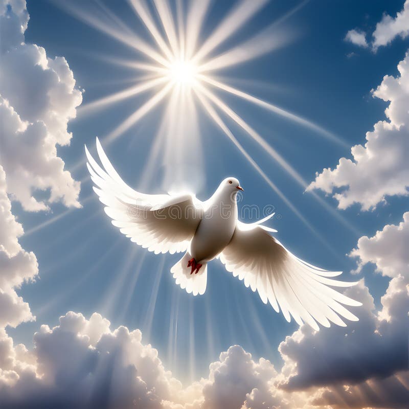 Image of a White Dove Flying on Sky at Different Weather Sky for ...
