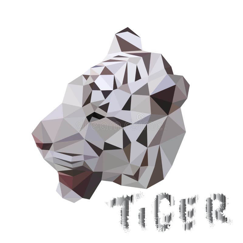 Image of White Tiger. Vector Illustration Polygon Low Poly Stock Vector ...