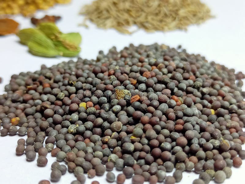 Image of whole mustard stock photo. Image of snack, fruit - 208246774