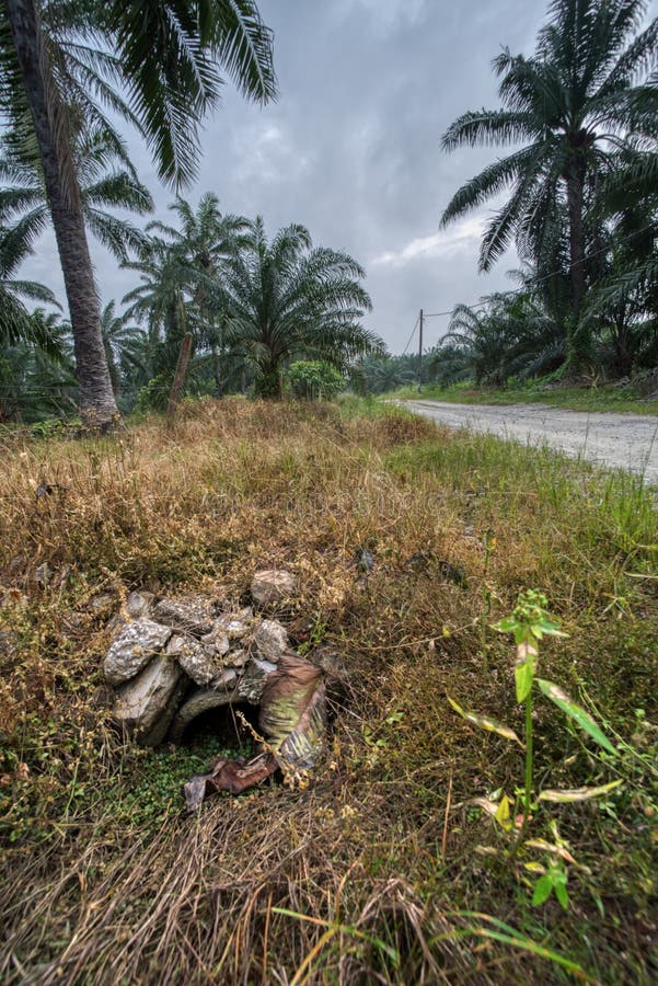 Wide Panoramic Agriculture Landscape Scene Around the Vicinity of Rural ...