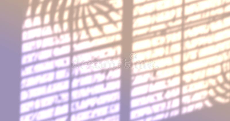 Image of Window Shadow of Leaves Blinds and Rain Falling on Yellow ...