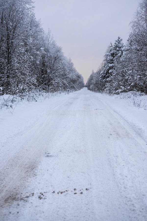 Image of a winter road stock photo. Image of road, wild - 135888396