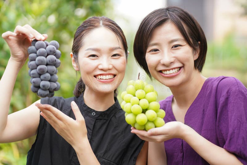 Woman with grapes stock image. Image of farmer, harvest - 243903373