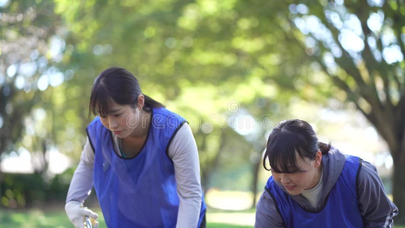 Woman picking up trash stock footage. Video of friends - 324609100
