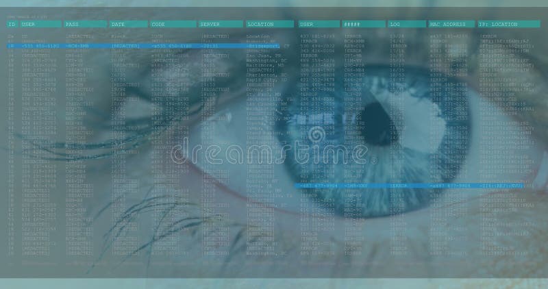 Image of Woman S Blue Eye with Fast Scrolling Digital Information and ...