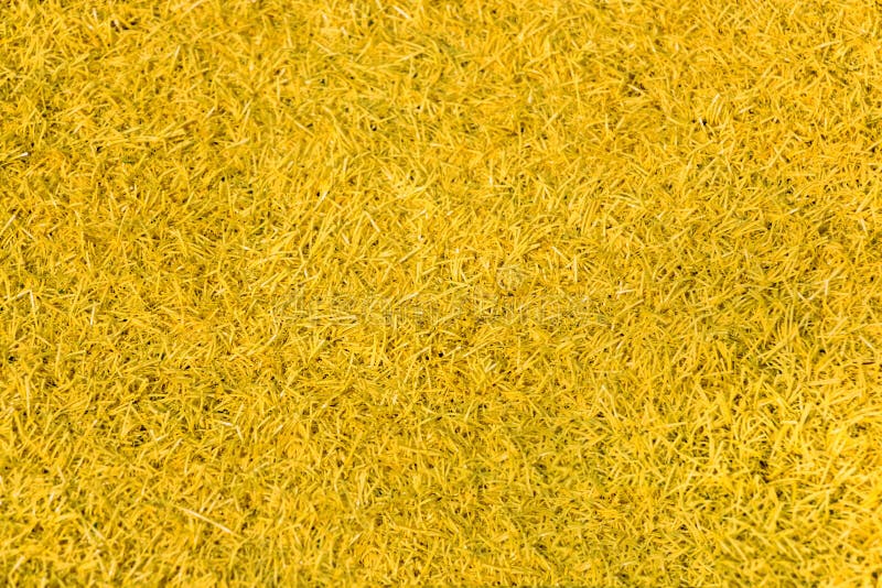 Yellow Carpet Surface Texture for Background Stock Photo - Image of ...